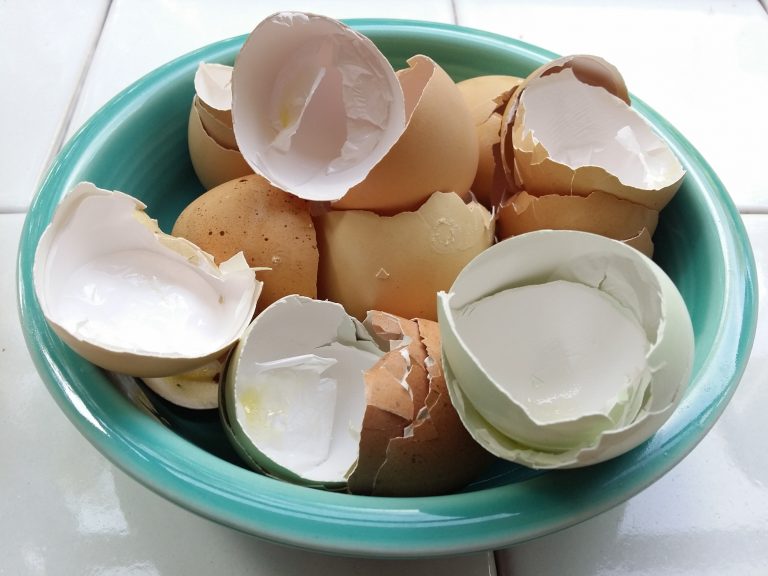 How to Make Eggshell Calcium Powder - Zero-Waste Chef