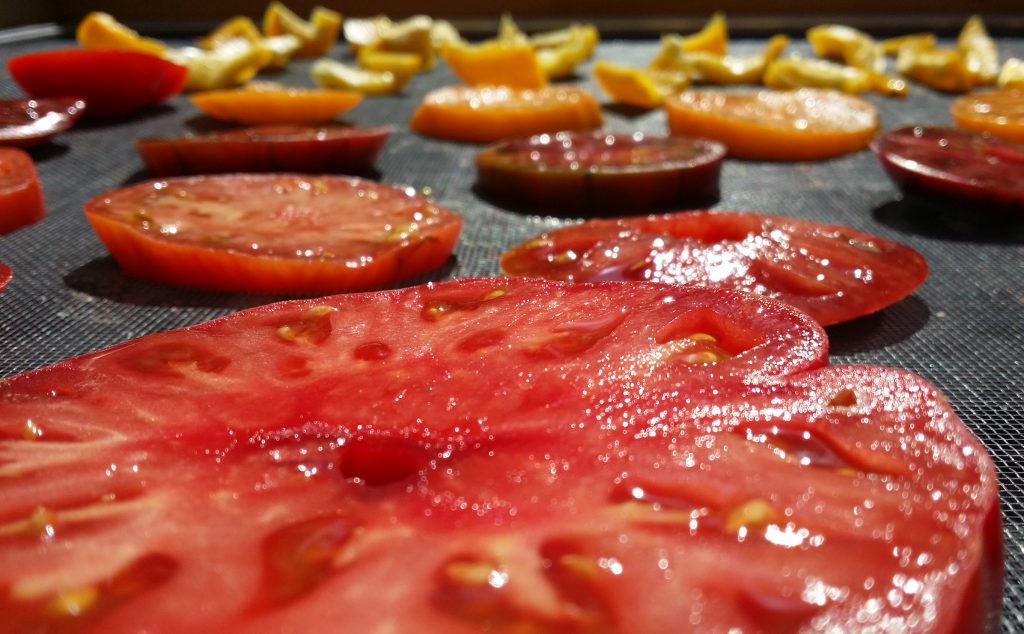 Solar-Dried Tomatoes - Zero-Waste Chef