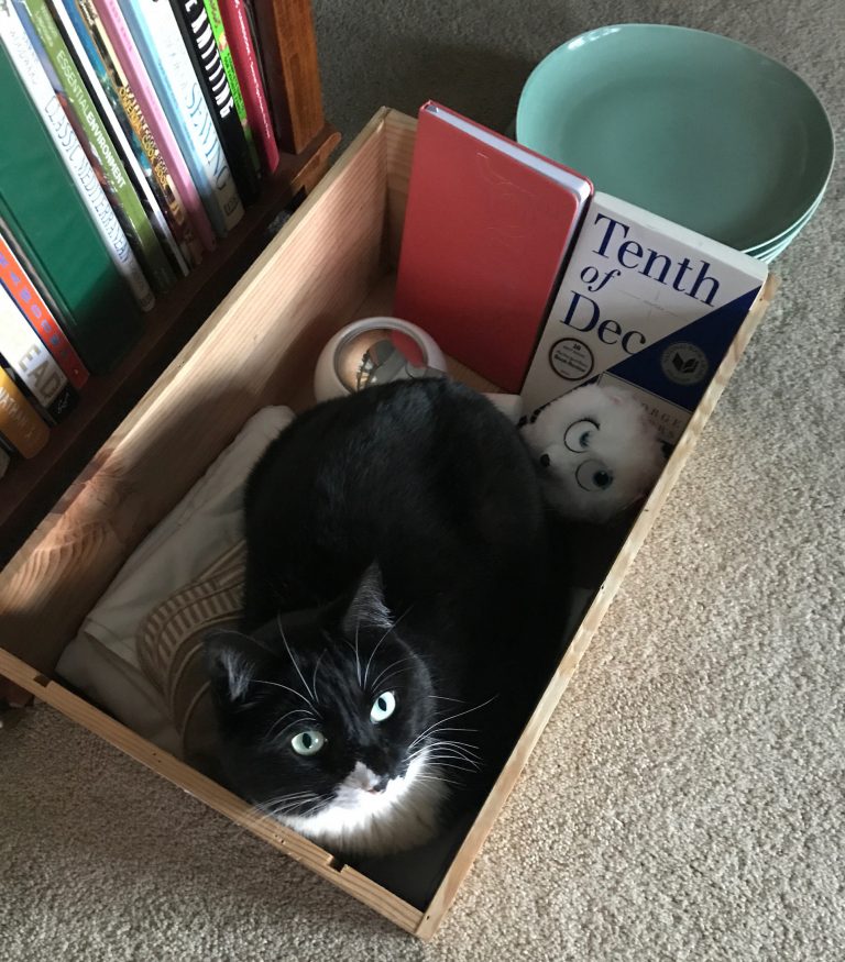 How to Organize a Community Swap Meet and Why - Zero-Waste Chef