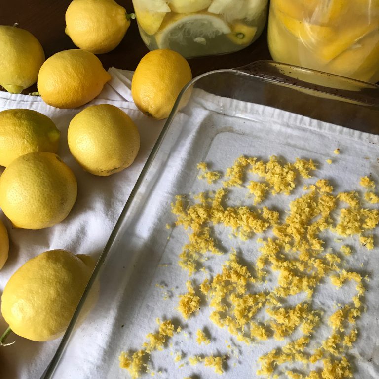 How to Make Scouring Powder With Orange or Lemon Zest - Zero-Waste Chef