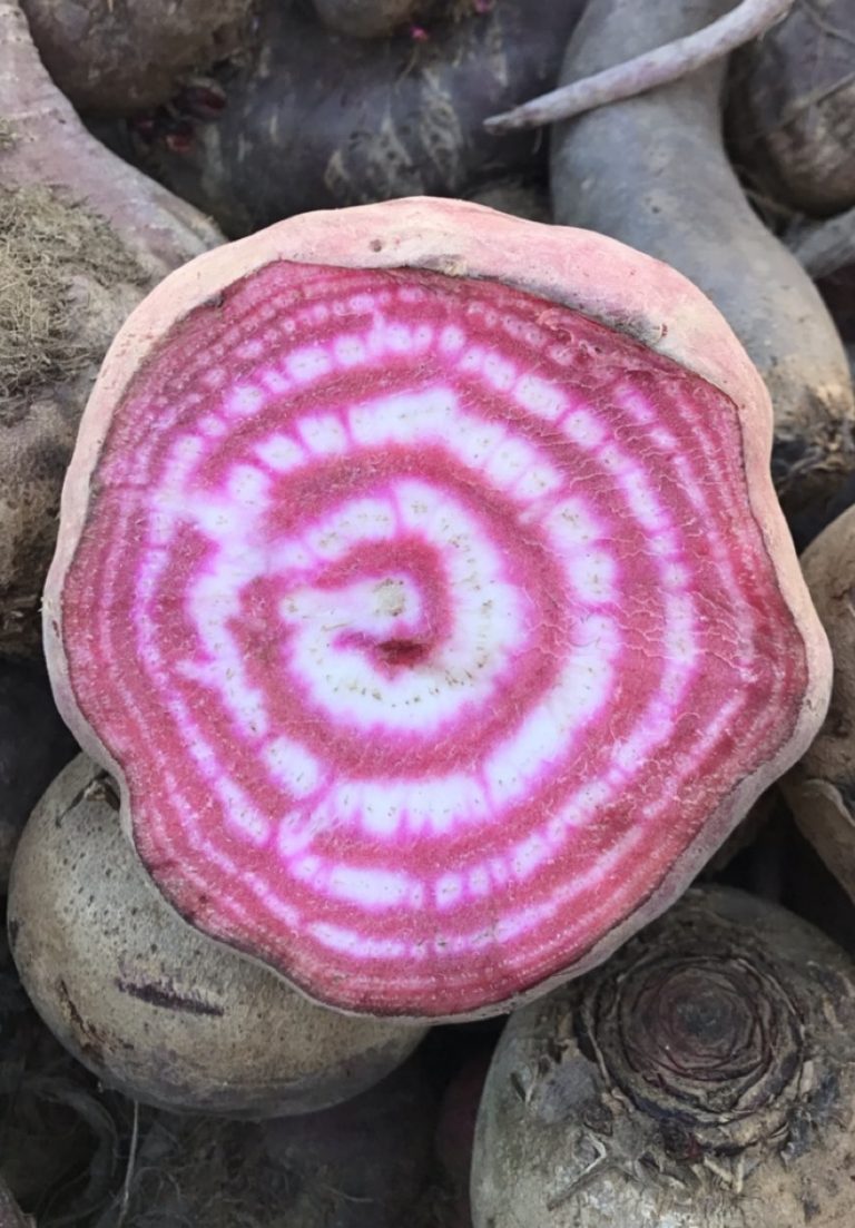 Waste Nothing Beet Pickles - Zero-Waste Chef