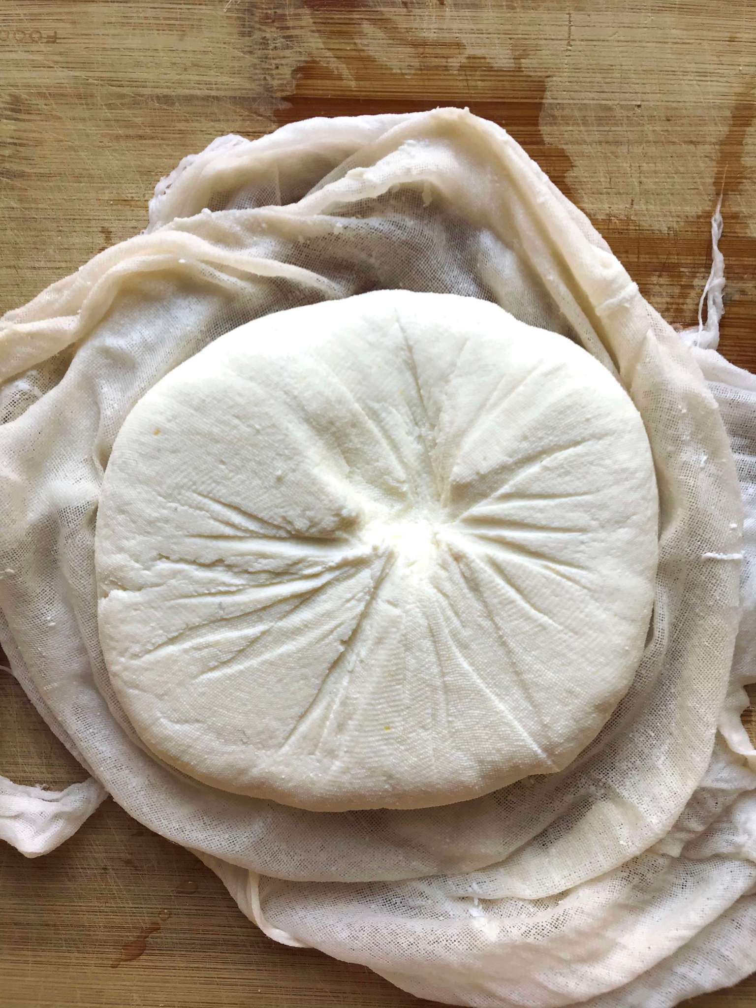 How to Make Homemade Paneer (from Rescued Milk) - Zero-Waste Chef