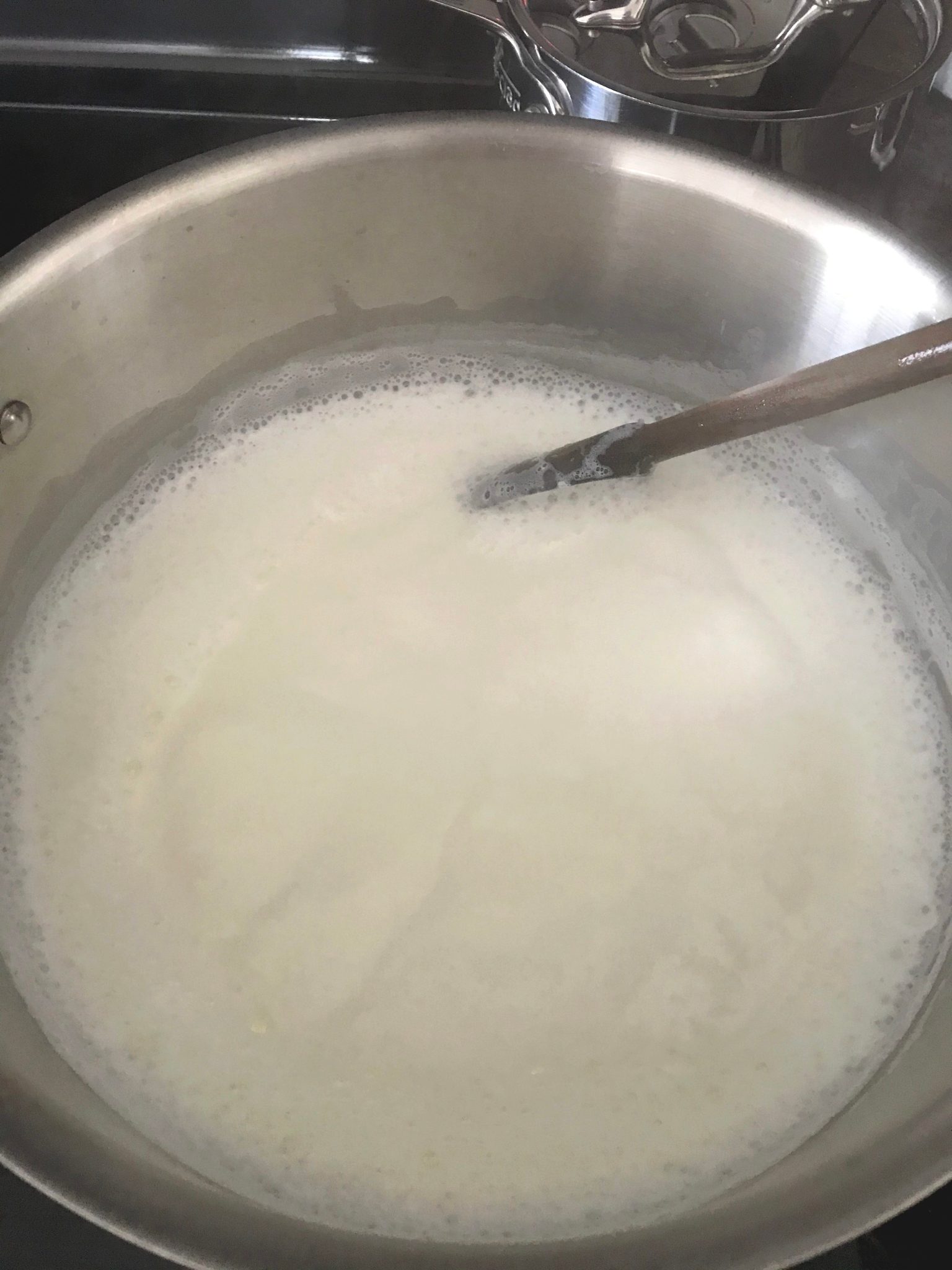 How to Make Homemade Paneer (from Rescued Milk) - Zero-Waste Chef