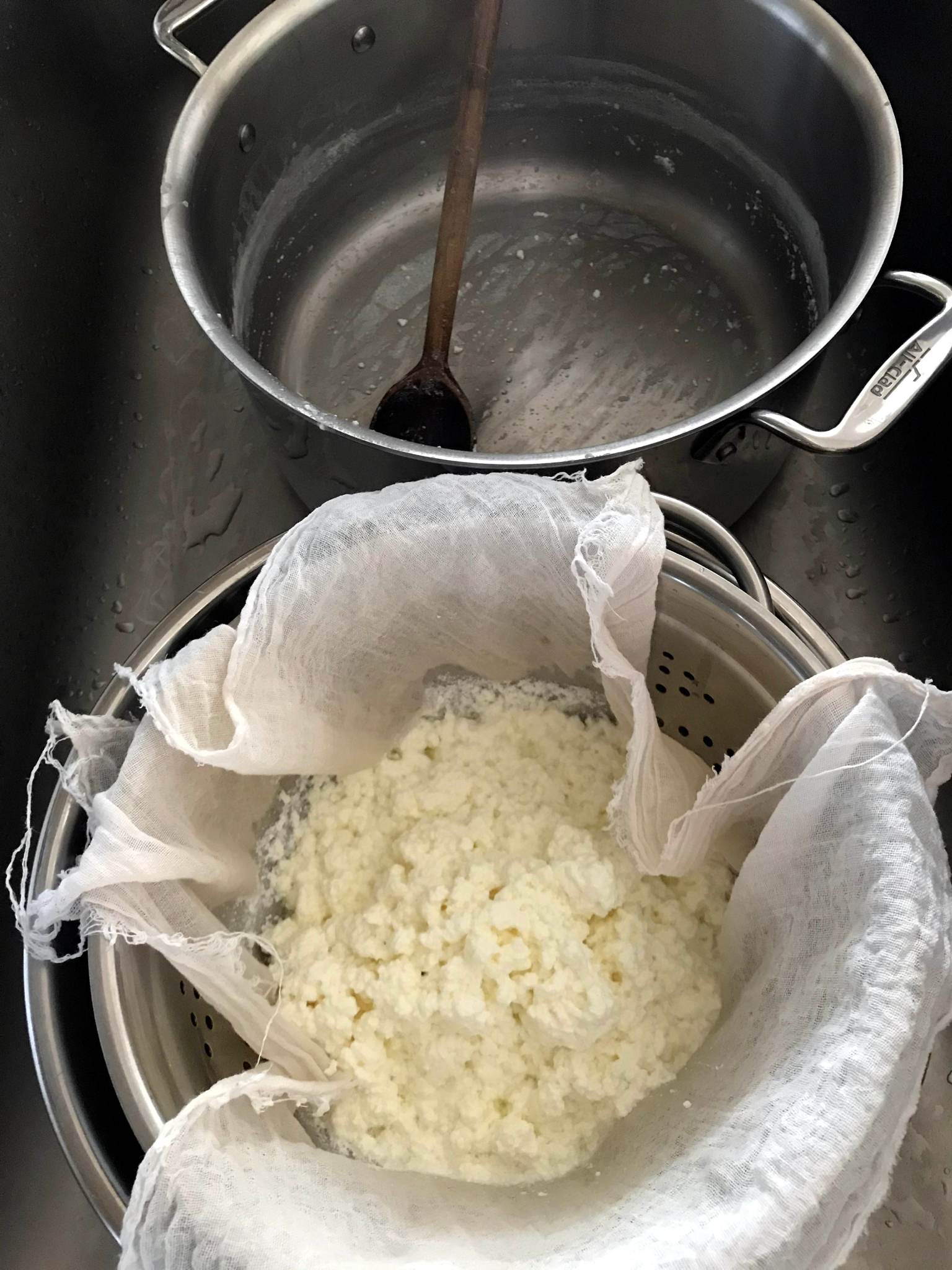 How to Make Homemade Paneer (from Rescued Milk) - Zero-Waste Chef