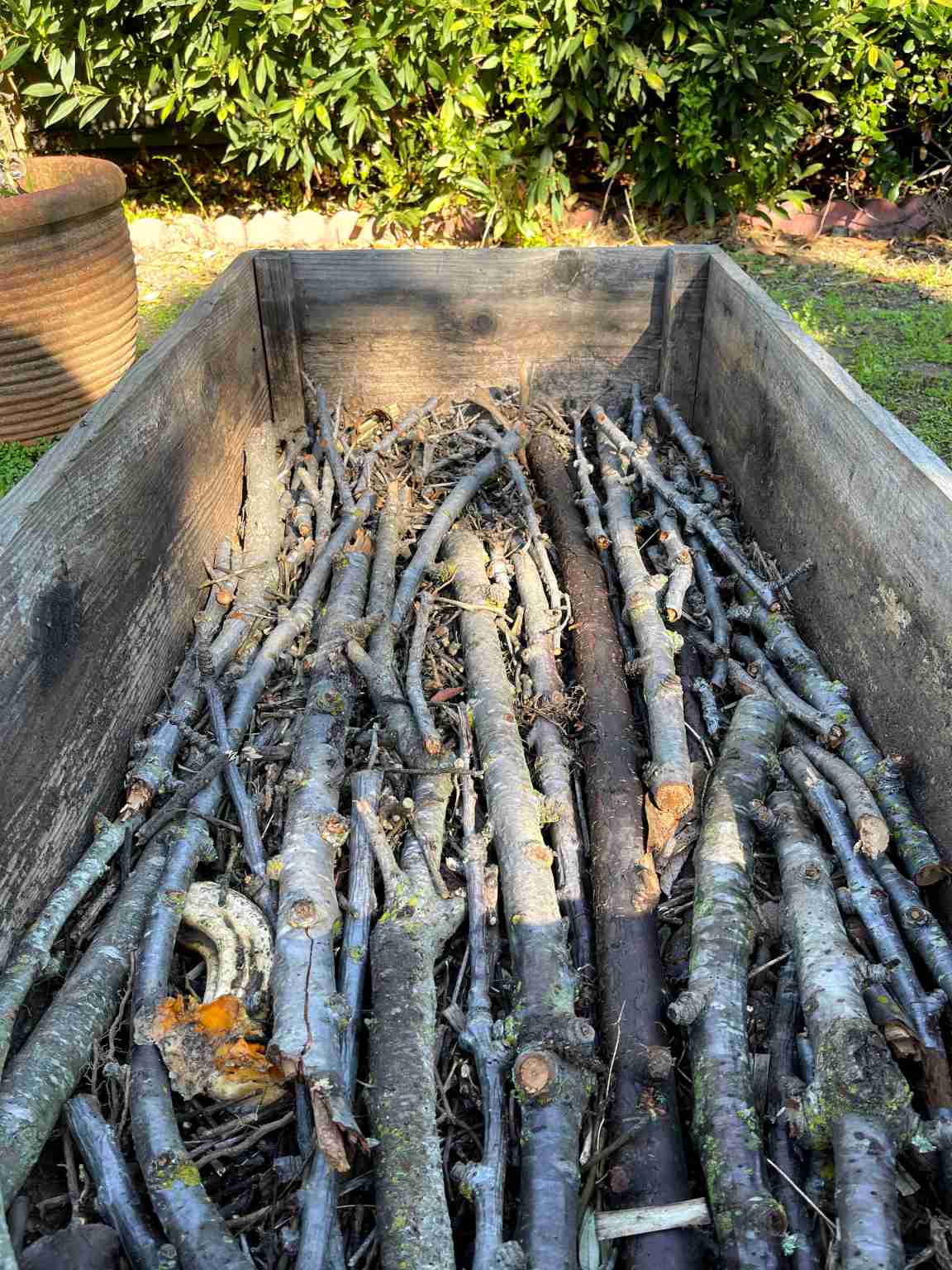 How to Compost Food Scraps With or Without a Yard - Zero-Waste Chef