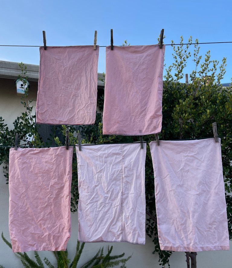 How to Dye Fabric Pink With Mere Avocado Pits - Zero-Waste Chef