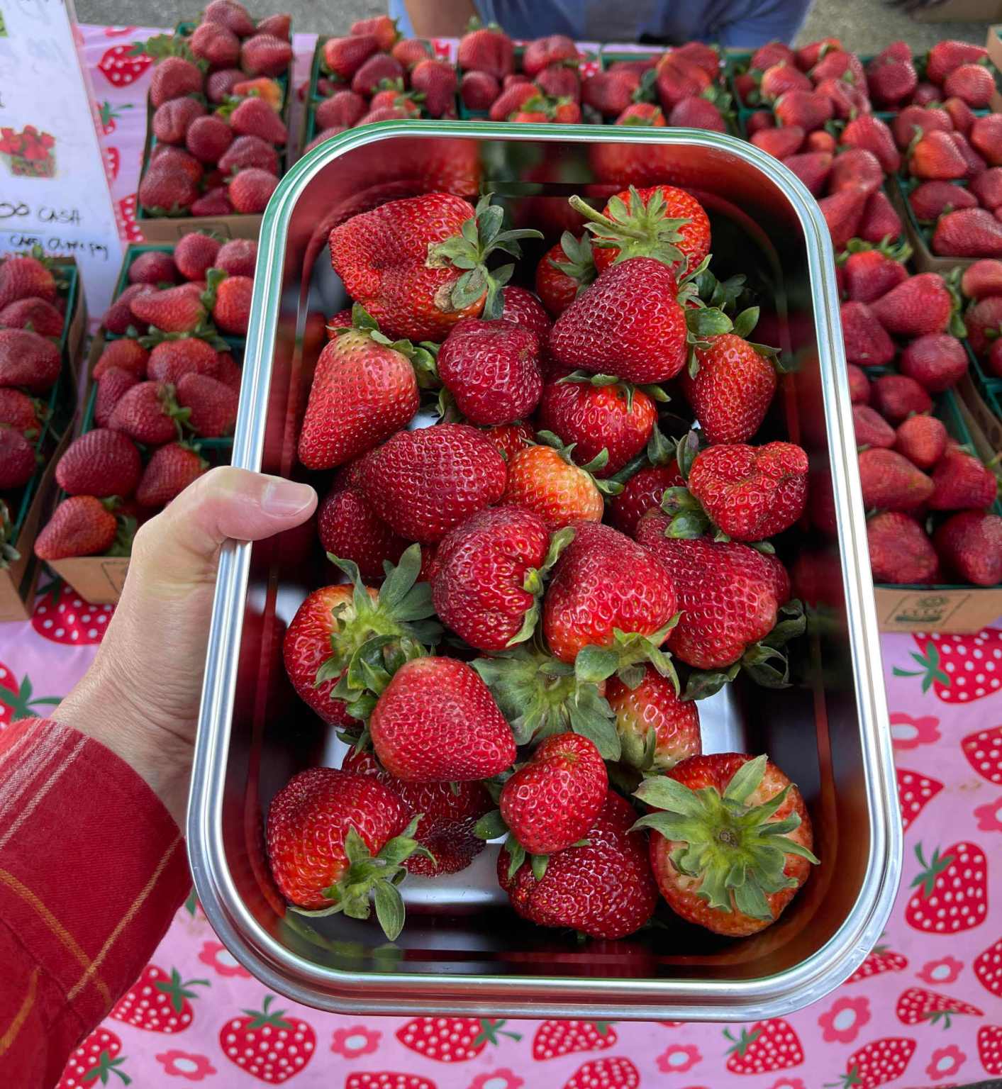 MK's Waste Free Strawberry Blueberry Galette with Semolina Pastry ...