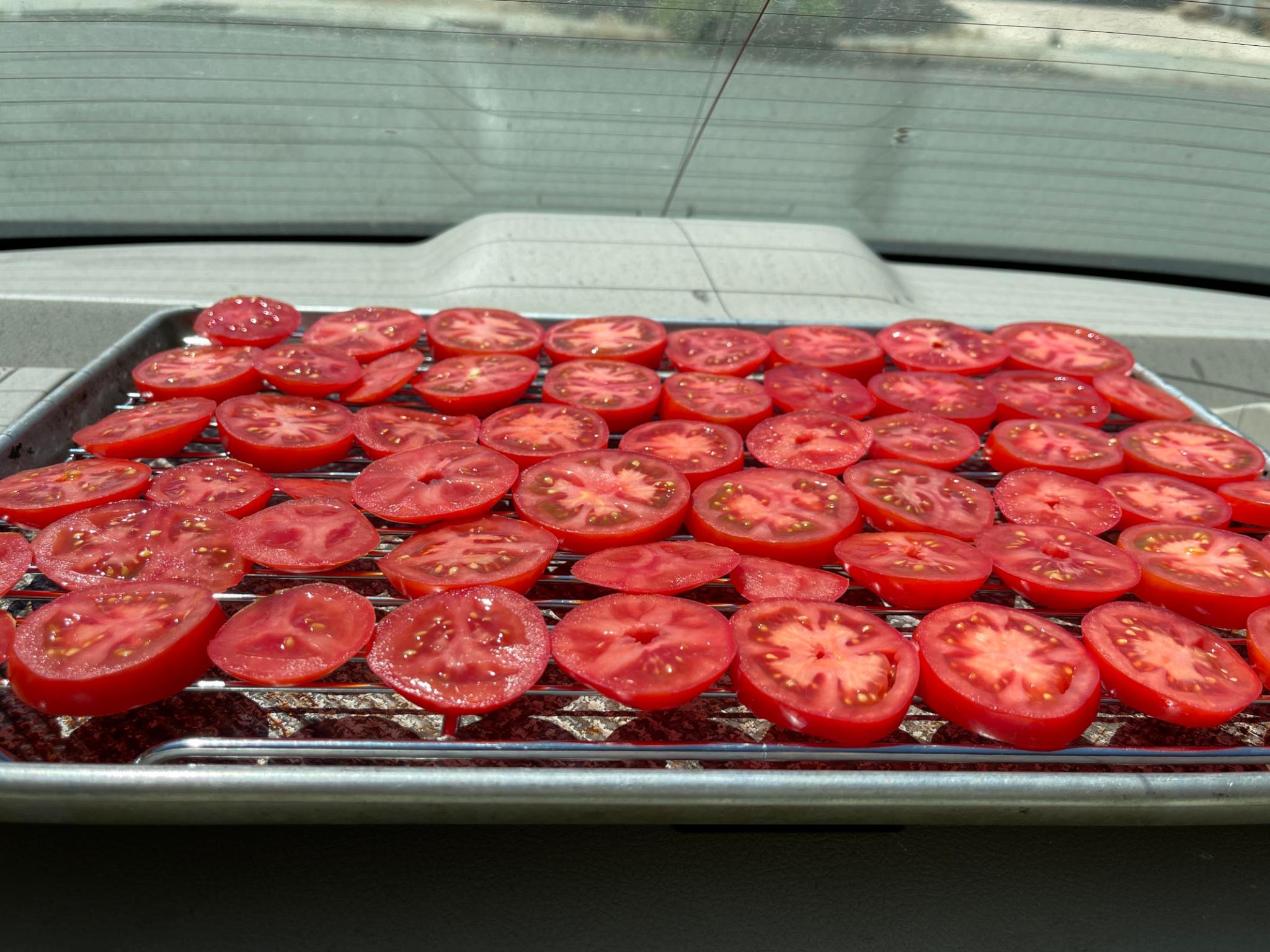 How to Dehydrate Tomatoes for Hands-Off, Easy Tomato Preservation ...