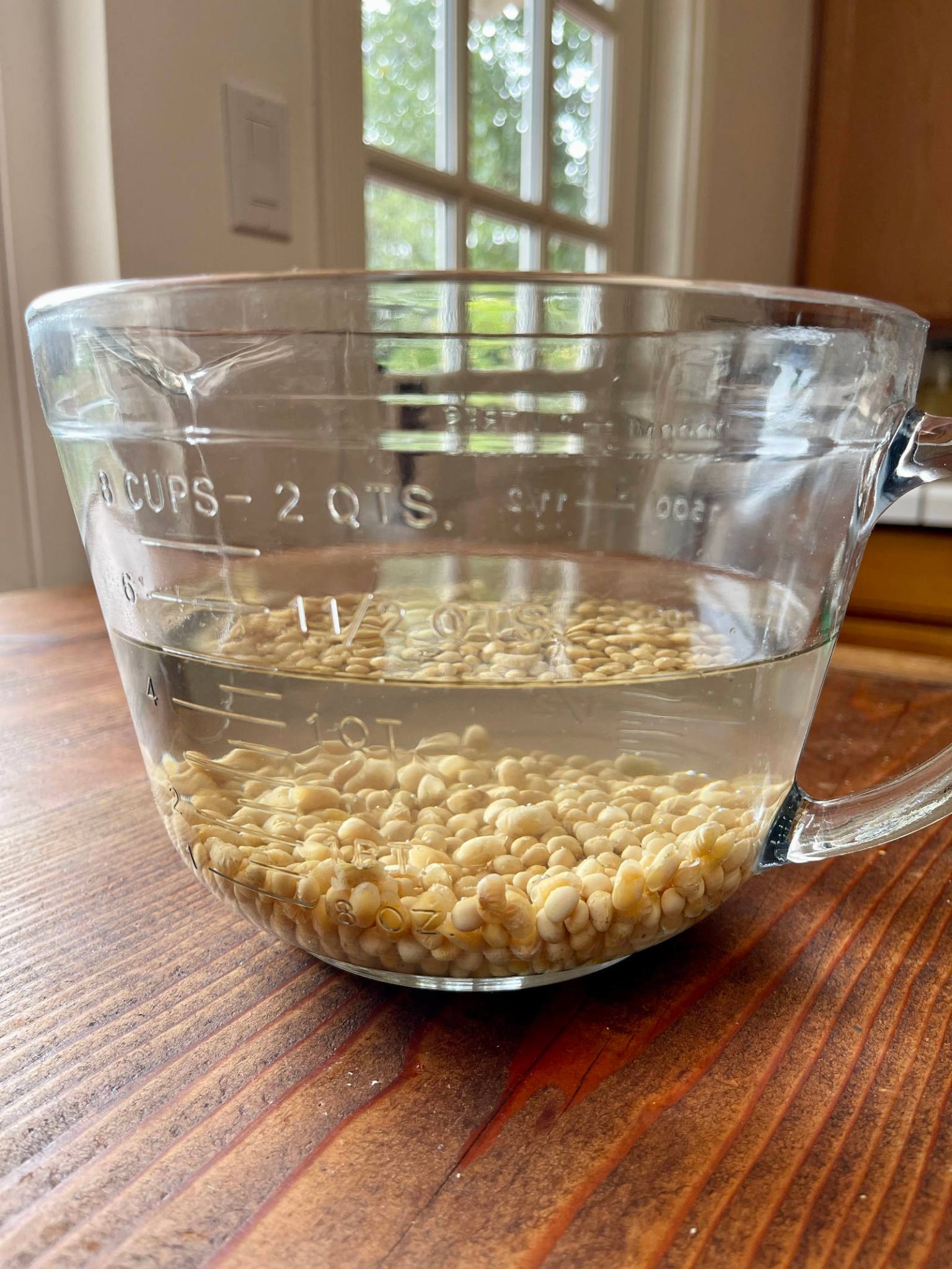 Quick Homemade Vegan Buttermilk Made With Soy Milk - Zero-Waste Chef