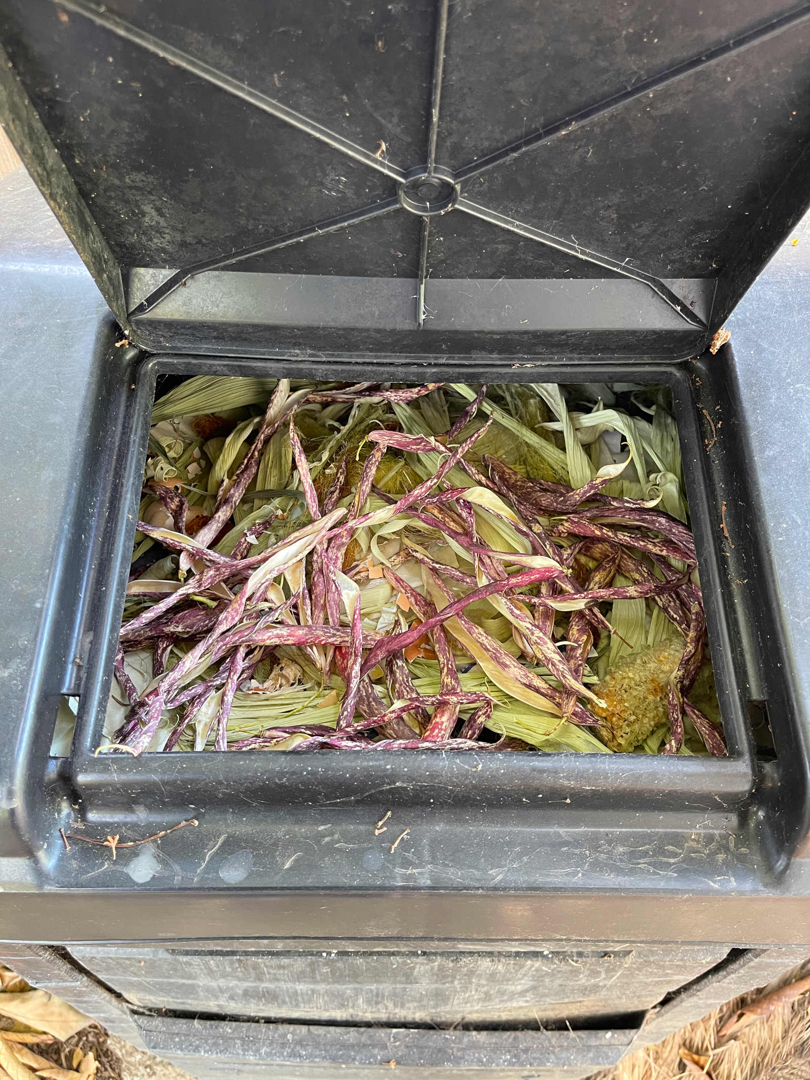 06.20.24 square compost bin - Zero-Waste Chef
